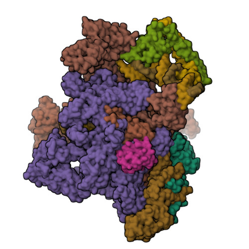 RCSB PDB - 6XH8: CueR-transcription activation complex with RNA transcript