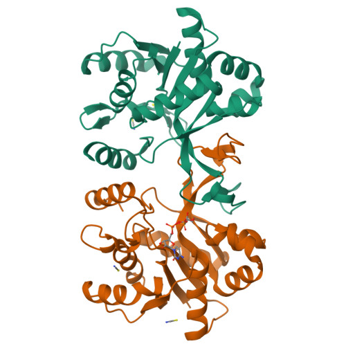 RCSB PDB - 6XHT: Crystal structure of S. aureus TarI in complex with ...