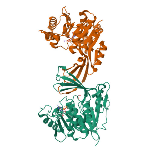 RCSB PDB - 6XK2: Crystal structure of Ribokinase from Cryptococcus ...