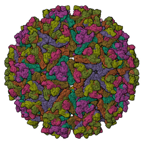 RCSB PDB - 6XO4: CryoEM structure of Eastern Equine Encephalitis (EEEV) VLP
