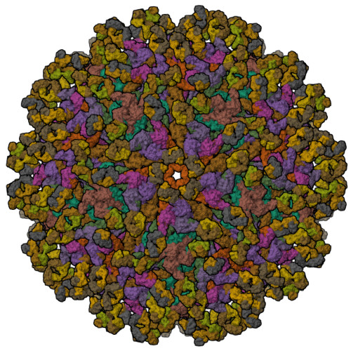 RCSB PDB - 6XOB: CryoEM structure of Eastern Equine Encephalitis (EEEV ...
