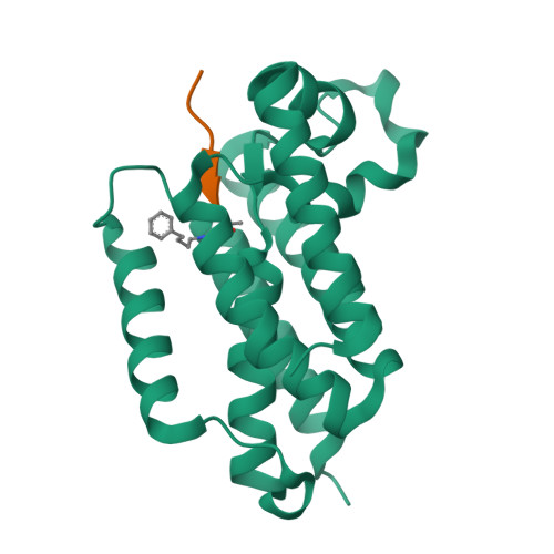 RCSB PDB - 6XRP: Crystal structure of GlpG in complex with peptide ...