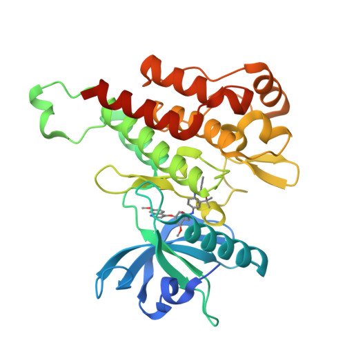 RCSB PDB - 6XVK: Crystal structure of the KDR (VEGFR2) kinase domain in ...