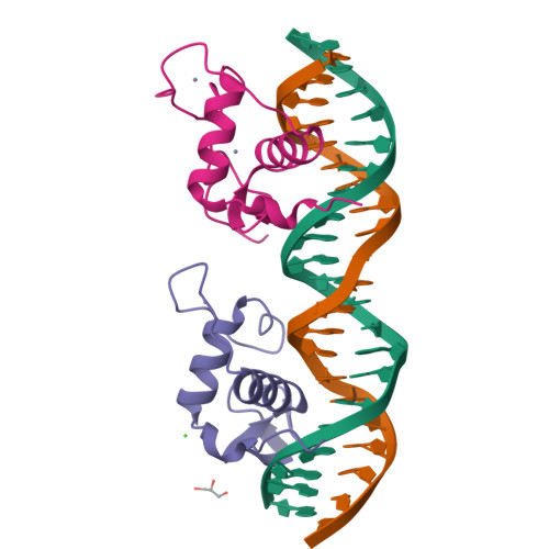 Rcsb Pdb 6xwg Crystal Structure Of The Human Rxr Rar Dna Binding