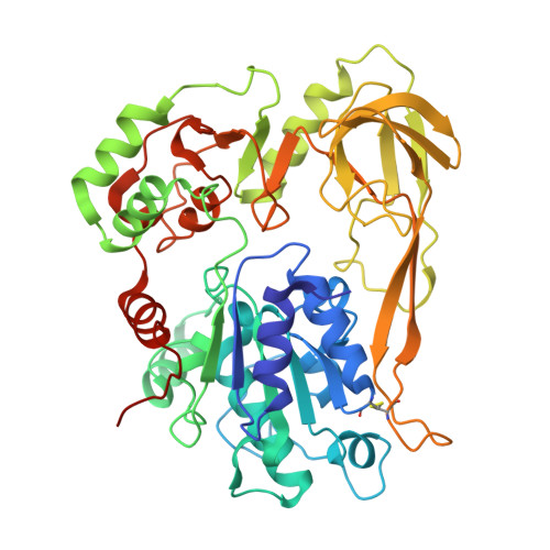 RCSB PDB - 6XZT: Crystal structure of helicase Pif1 from Thermus ...