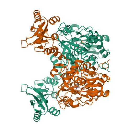 RCSB PDB - 6Y21: Crystal structure of delta466-491 cystathionine beta ...