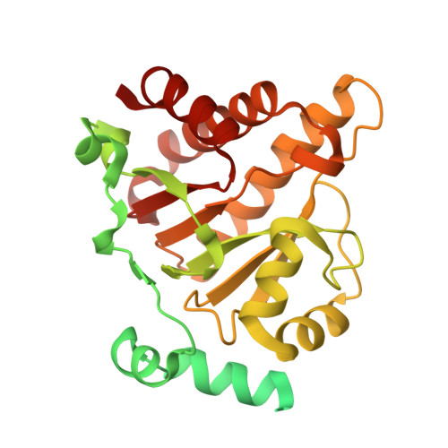 RCSB PDB - 6Y4Y: The crystal structure of human MACROD2 in space group ...