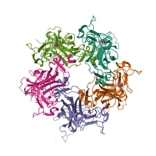 RCSB PDB - 6Y6A: Structure of Finch Polyomavirus VP1 in complex with 2 ...