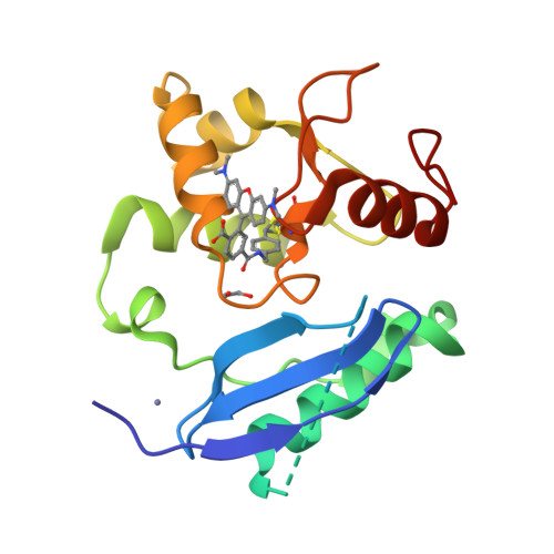 RCSB PDB - 6Y8P: Crystal structure of SNAP-tag labeled with a benzyl ...