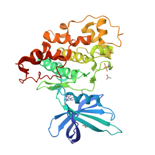 RCSB PDB - 6Y9R: Crystal structure of GSK-3b in complex with the 1H ...