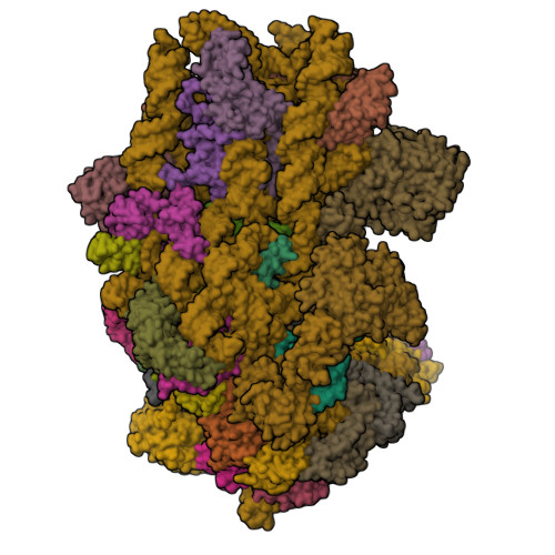RCSB PDB - 6YAL: Mammalian 48S late-stage initiation complex with beta ...