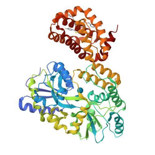 RCSB PDB - 6YBL: Structure of MBP-Mcl-1 in complex with compound 9m