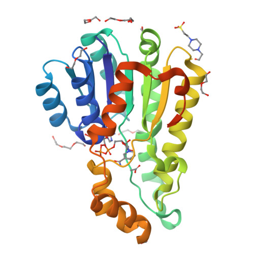 RCSB PDB - 6YC8: Crystal structure of KRED1-Pglu enzyme