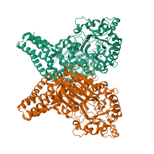 RCSB PDB - 6YHH: X-ray Structure of Flavobacterium johnsoniae ...