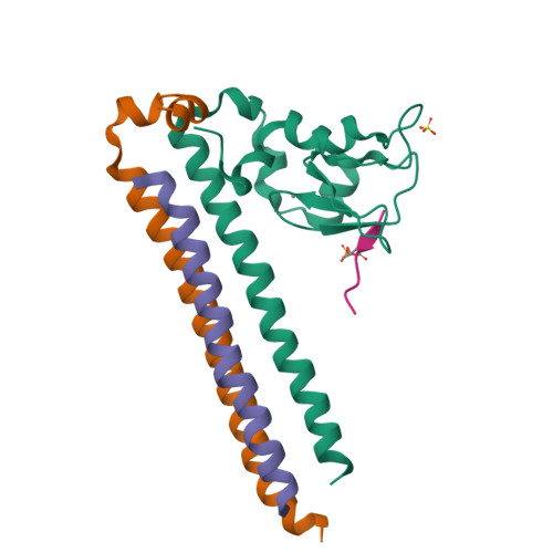 RCSB PDB - 6YIH: Structure of Chromosomal Passenger Complex (CPC) bound ...