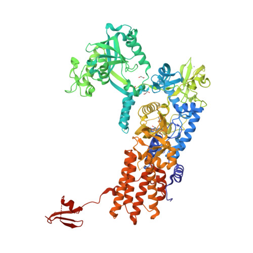RCSB PDB - 6YKU: Neisseria gonorrhoeae Leucyl-tRNA Synthetase in ...