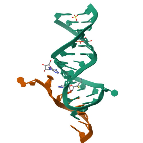 RCSB PDB - 6YML: Crystal structure of the SAM-SAH riboswitch with ...