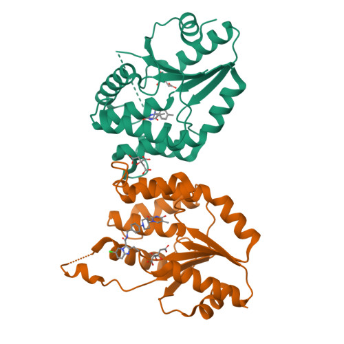 RCSB PDB - 6YT1: Mtb TMK crystal structure in complex with compound 26