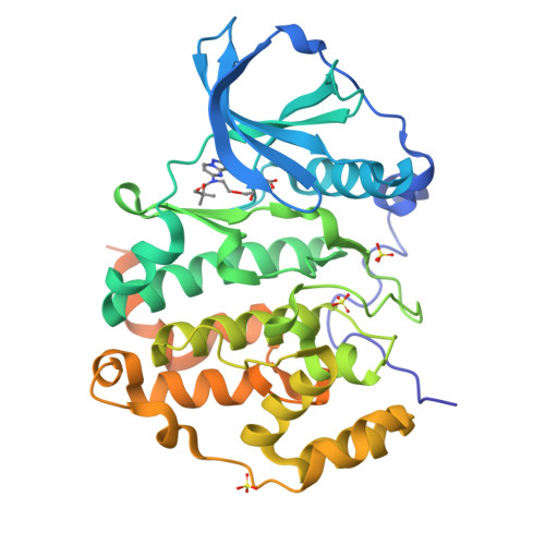 RCSB PDB - 6YUM: CK2 alpha bound to unclosed Macrocycle