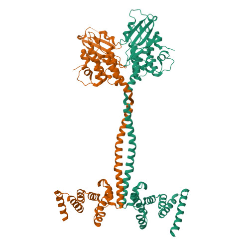 RCSB PDB - 6Z0F: Crystal structure of the membrane pseudokinase YukC ...
