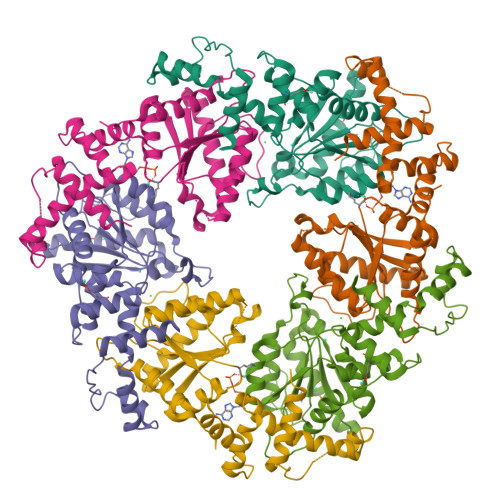 RCSB PDB - 6Z1D: Crystal structure of the AAA domain of Rubisco ...