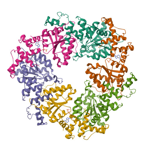 RCSB PDB - 6Z1E: Crystal structure of the AAA domain of Rubisco ...