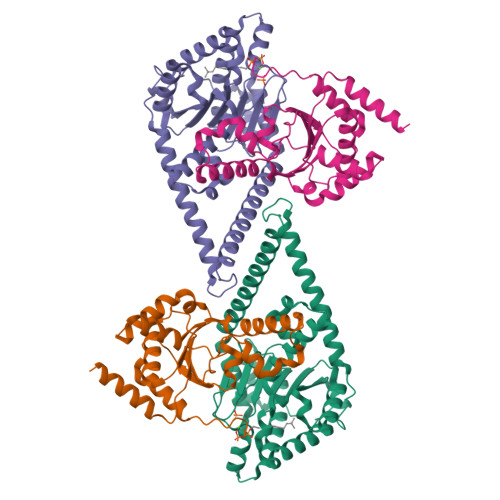 RCSB PDB - 6Z1N: Structure of the human heterotetrameric cis ...