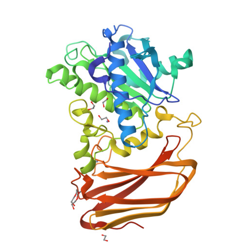 RCSB PDB - 6Z2D: Crystal structure of wild type OgpA from Akkermansia ...