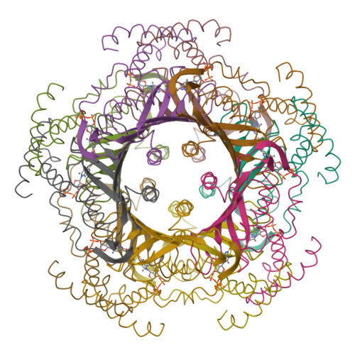 RCSB PDB - 6Z86: human GTP cyclohydrolase I in complex with 7-deaza-GTP