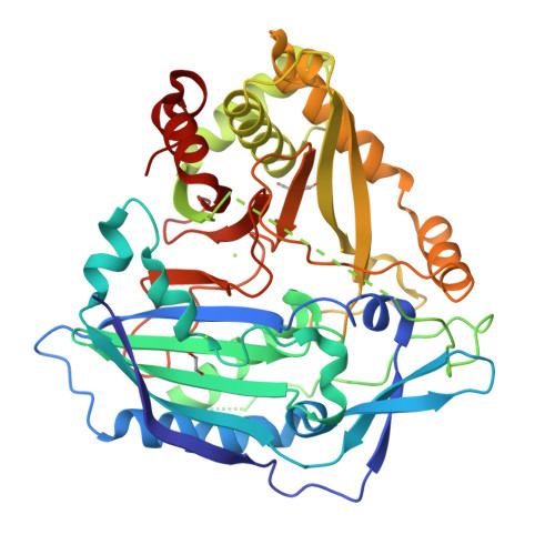 RCSB PDB - 6ZBS: Beta ODAP Synthetase (BOS)