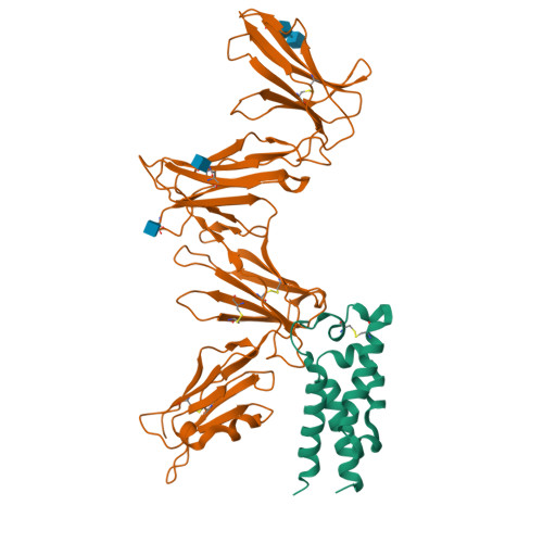 RCSB PDB - 6ZDX: RIFIN variable region bound to LILRB1 ectodomain