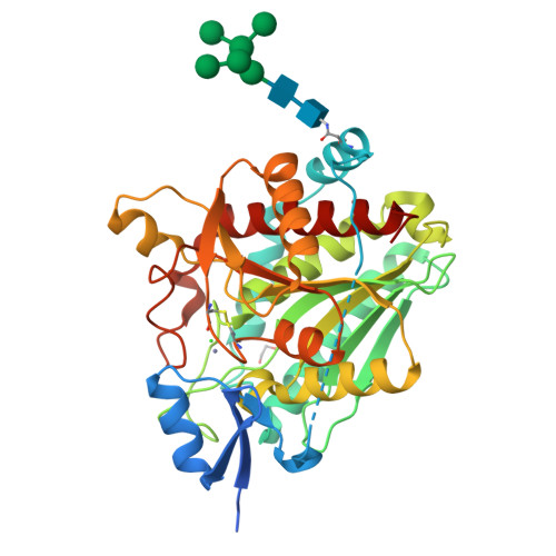 RCSB PDB - 6ZEP: Flavourzyme Leucine Aminopeptidase A proenzyme