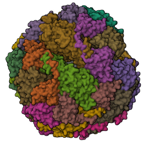 RCSB PDB - 6ZJA: Helicobacter pylori urease with inhibitor bound in the ...