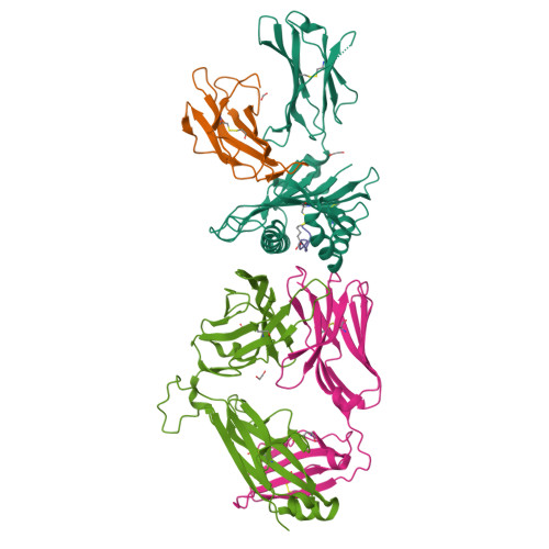 RCSB PDB - 6ZKZ: Crystal structure of InhA:01 TCR in complex with HLA-E ...