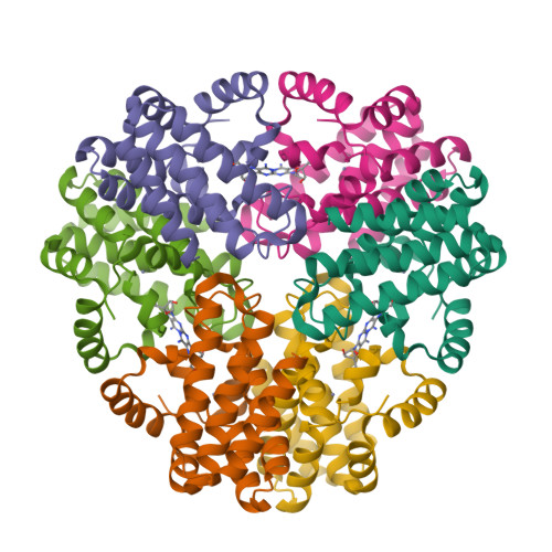 RCSB PDB - 6ZPA: Cyanophage S-2L HD phosphohydrolase (DatZ) bound to dA ...