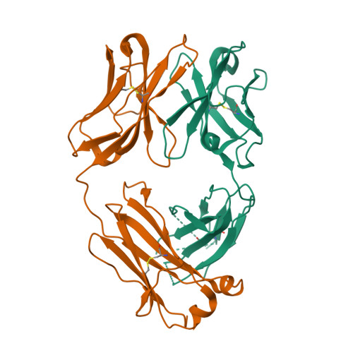 RCSB PDB - 6ZTD: Crystal structure of the BCR Fab fragment from subset ...