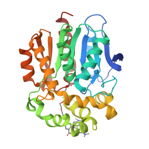 RCSB PDB - 6ZVW: X-RAY STRUCTURE OF THE HALOALKANE DEHALOGENASE ...