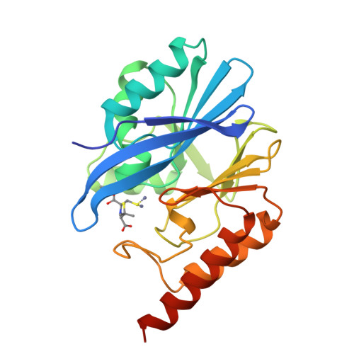 RCSB PDB - 6ZYS: Structure of IMP-1 with 2-Mercaptomethyl-thiazolidine ...