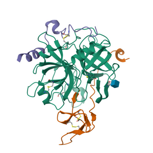 RCSB PDB - 7A0F: The Crystal Structure of Bovine Thrombin in complex ...