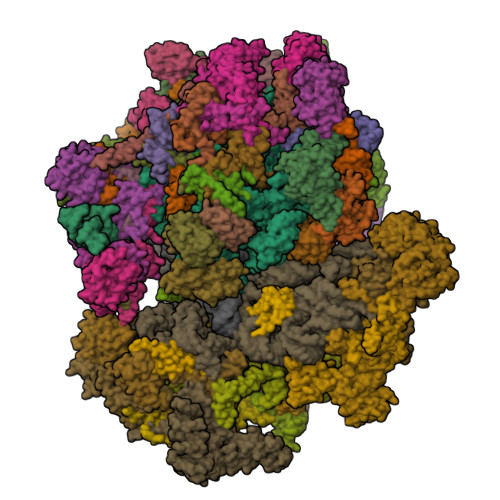 RCSB PDB - 7A5I: Structure of the human mitoribosome with A- P-and E ...