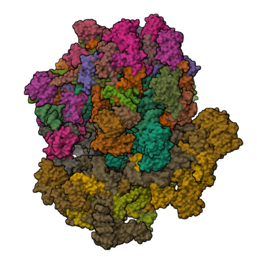 RCSB PDB - 7A5K: Structure of the human mitoribosome in the post ...