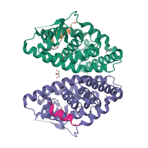 RCSB PDB - 7A77: Crystal structure of RXR alpha LBD in complexes with ...