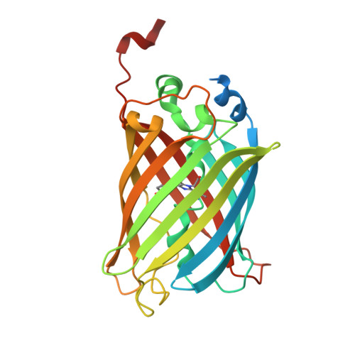 RCSB PDB - 7A8L: rsGreen0.7-K206A-N205C in the green-on state