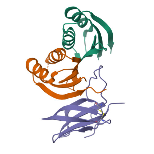 RCSB PDB - 7A8X: Complex of rice blast (Magnaporthe oryzae) effector ...