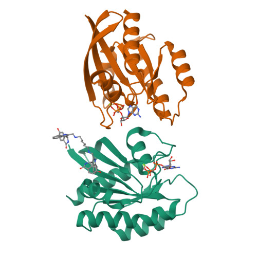 RCSB PDB - 7ACA: CRYSTAL STRUCTURE OF AN ACTIVE KRAS G12D (GPPCP) DIMER ...