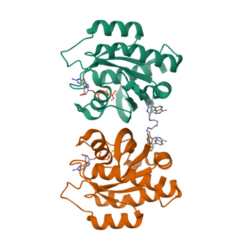 RCSB PDB - 7ACH: CRYSTAL STRUCTURE OF ACTIVE KRAS G12D (GPPCP) IN ...