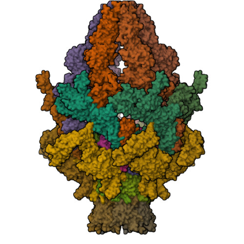 RCSB PDB - 7AEB: Cryo-EM structure of an extracellular contractile ...