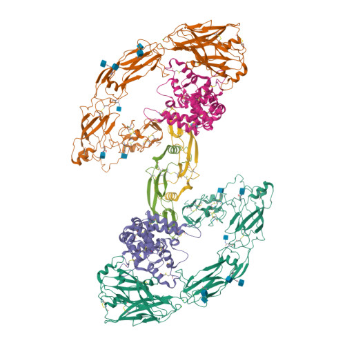 RCSB PDB - 7AML: RET/GDNF/GFRa1 extracellular complex Cryo-EM structure