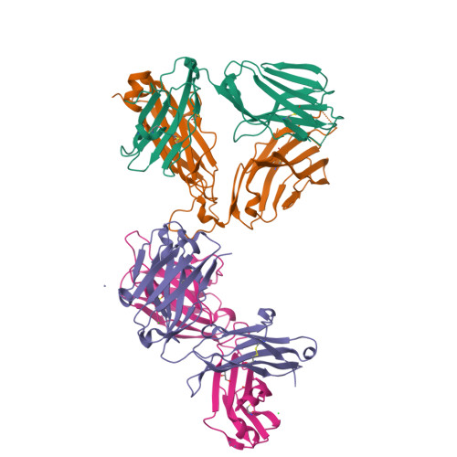 RCSB PDB - 7AMQ: Crystal structure of the complex of HuJovi-1 Fab with ...