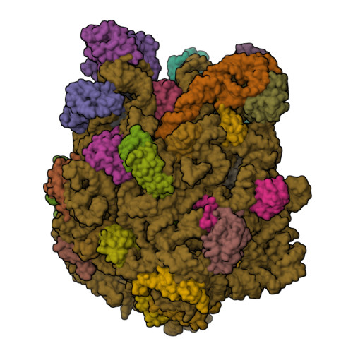 RCSB PDB - 7AS8: Bacillus subtilis ribosome quality control complex ...